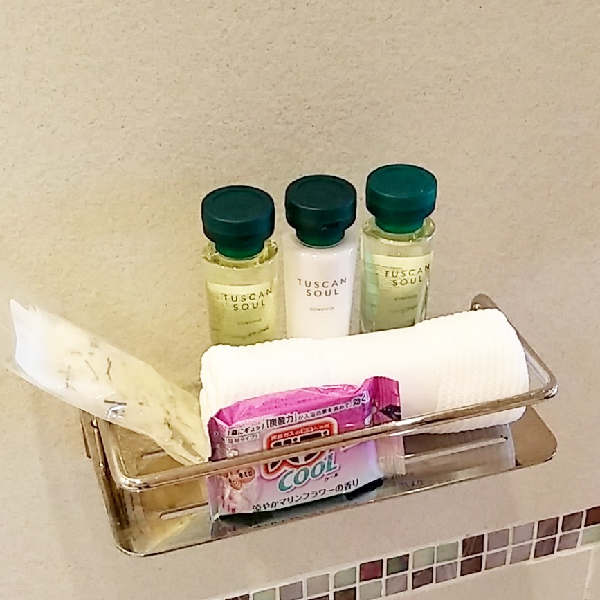 ハウステンボスを満喫(≧ ≦)│Kusakar ISM