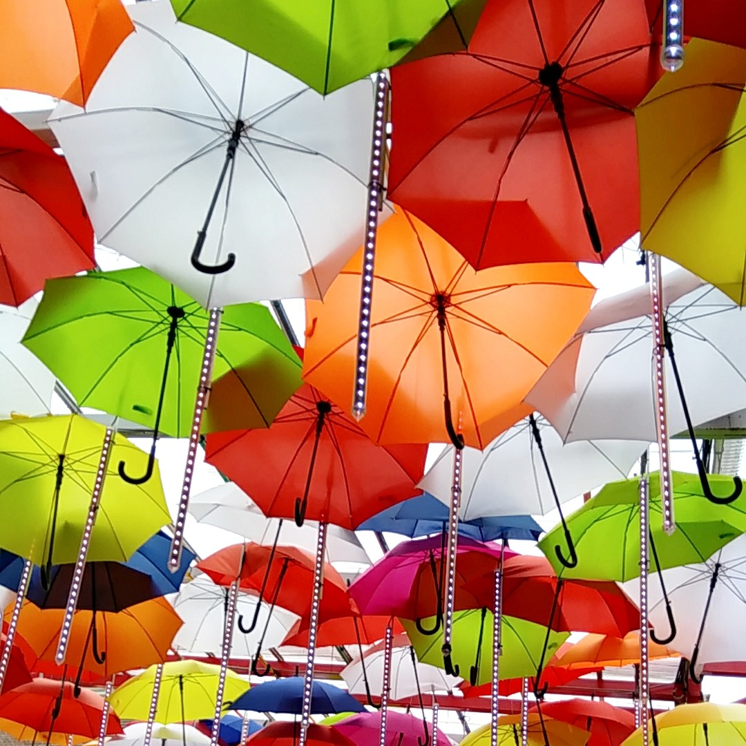 ハウステンボスを満喫(≧ ≦)│Kusakar ISM