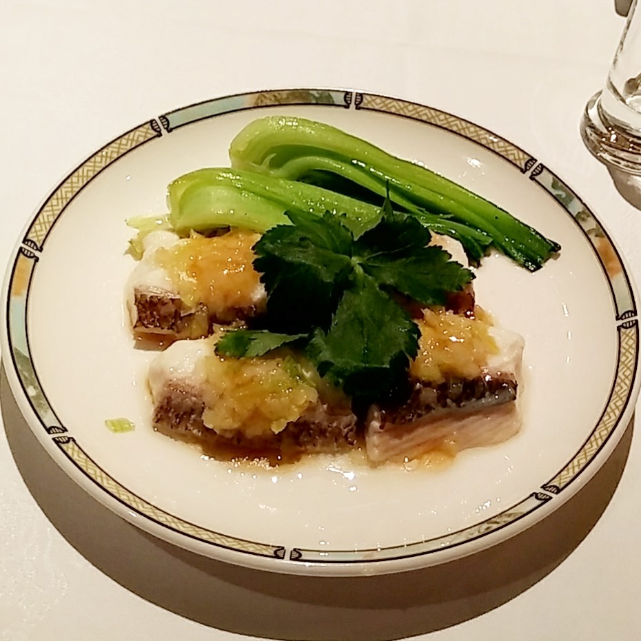 [東京ディズニーリゾート]“シルクロードガーデン”│Kusakar ISM